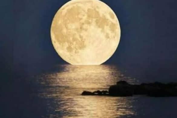 Mahamudra Elixir I: Nature of the Dynamic Mind - Ocean